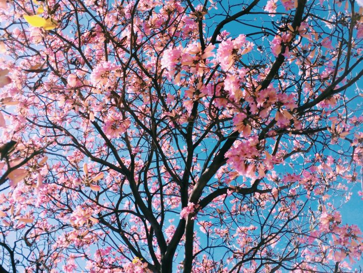 How To Add Prefix Or Suffix To Woocommerce Order Number